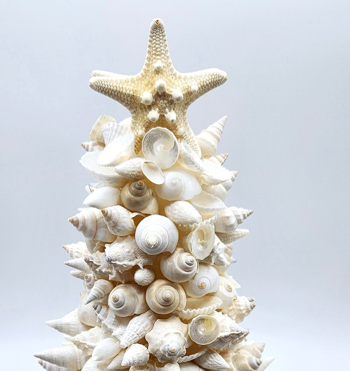 Beach Christmas Decor Seashell Tree, Coastal Christmas Decor White Sea ...