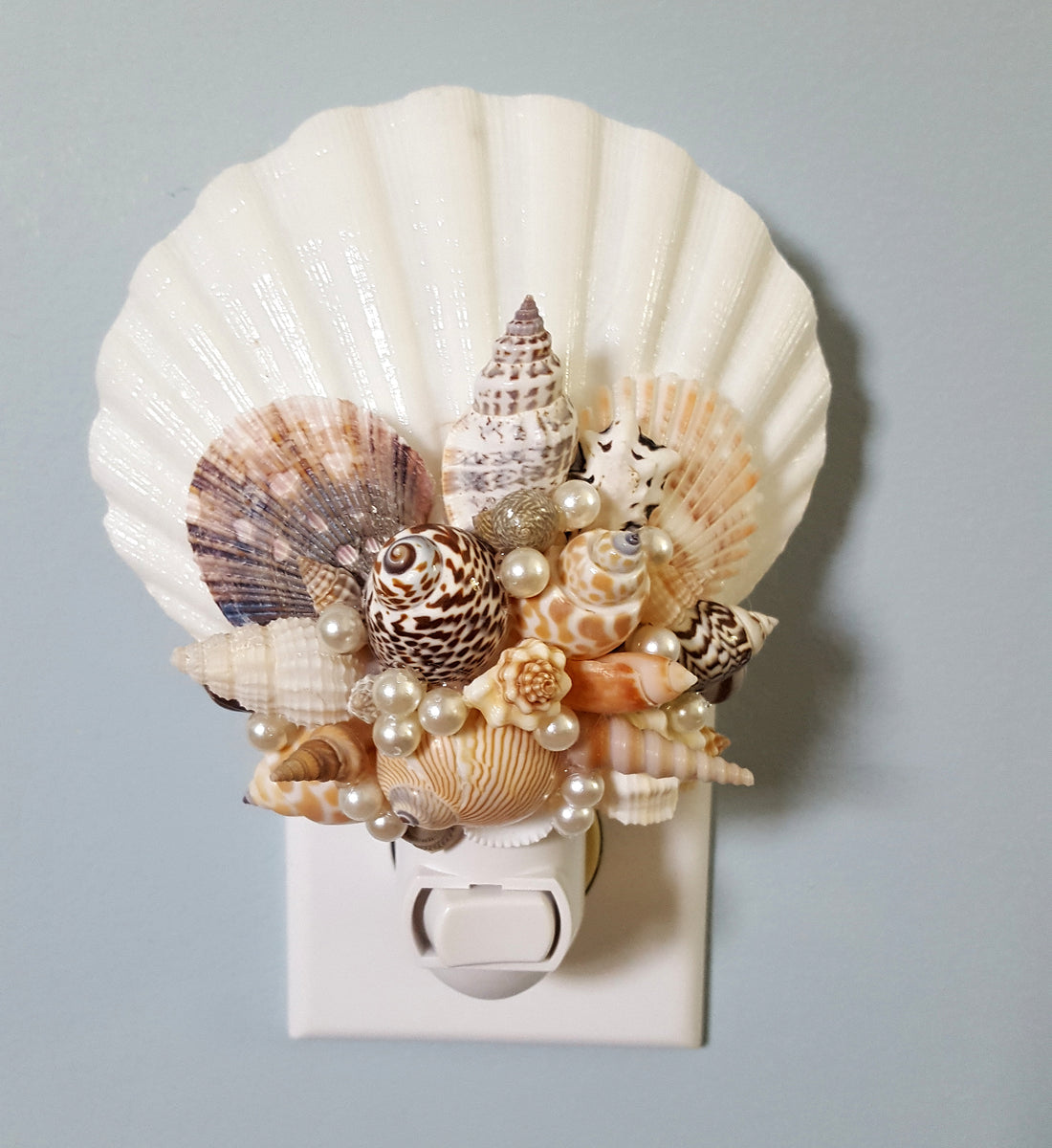 Beach Decor Seashell Night Light, Nautical Coastal Shell Nite Light ...