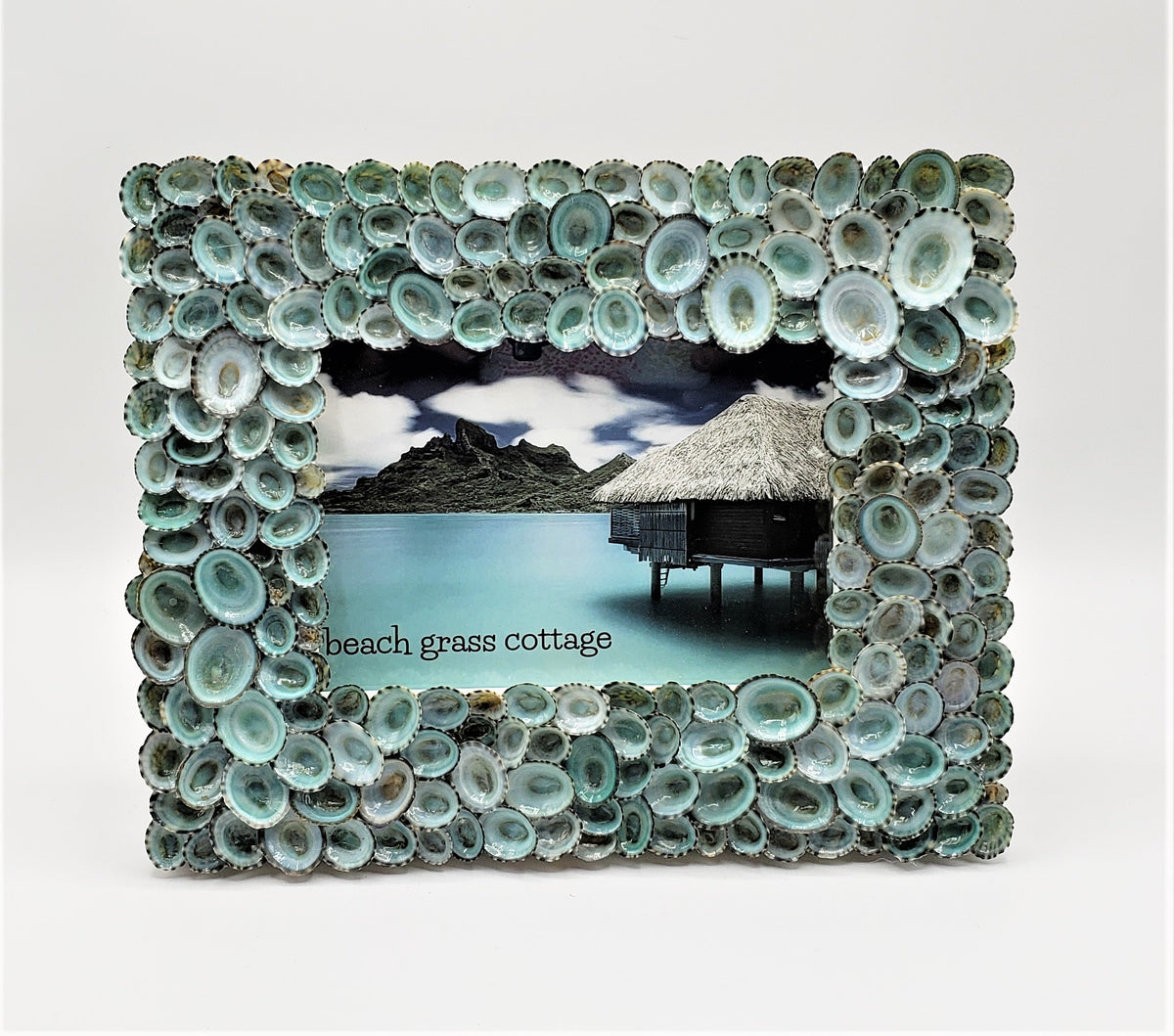 Beach Decor Seashell Frame, Nautical Coastal Aqua Limpet Shell Frame ...